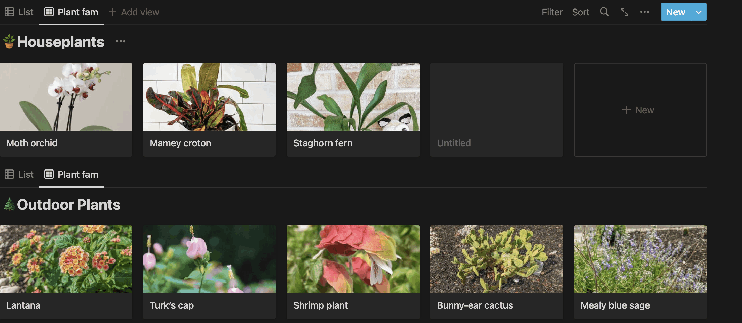 My Plant Planner A Notion Plant Manager Template Nick Lafferty